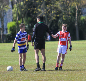 About Cuala – Cuala GAC – Official Website