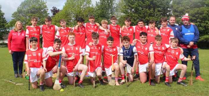 Juvenile Boys Féile – Cuala GAC – Official Website